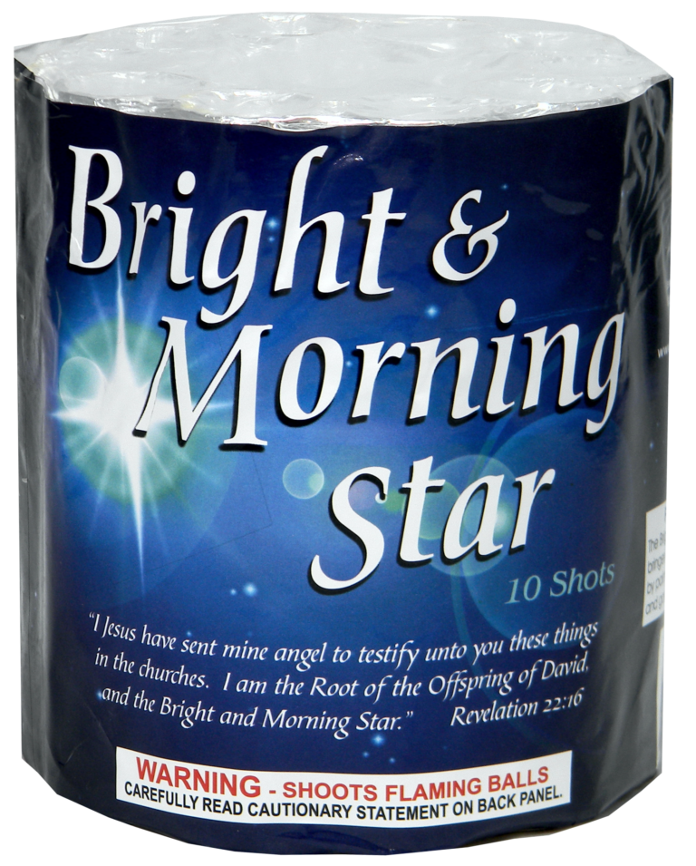 The Bright and Morning Star… Bringer of light, represented by palm and ...