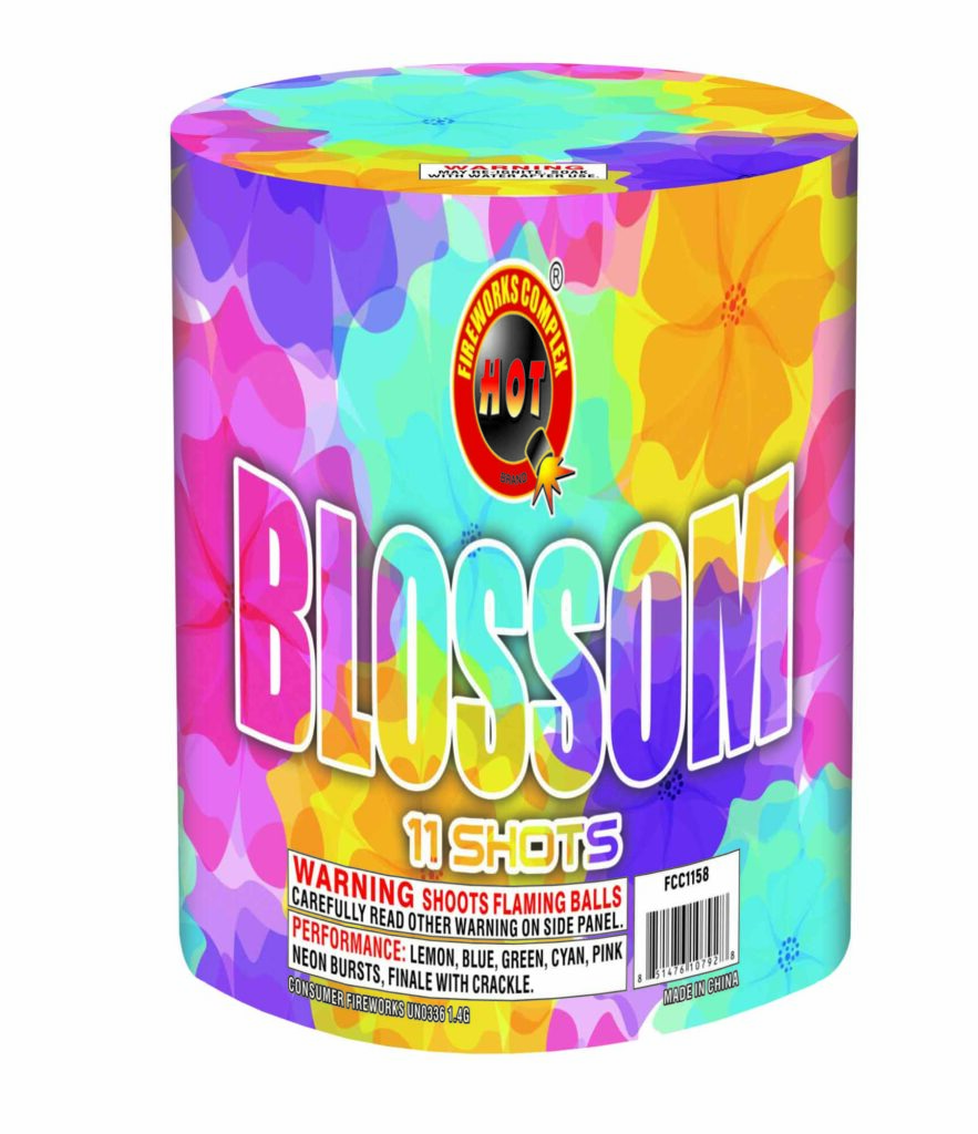 Blossom – 11 Shot